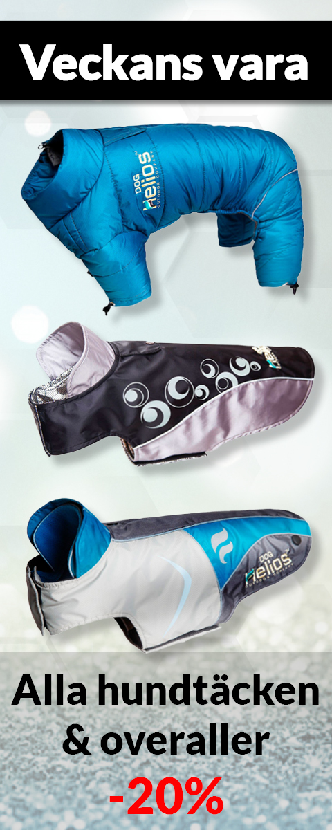 Veckans vara Banner Hundtäcken – Globus Sport Webshop